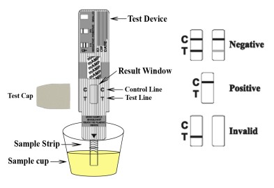 ETG Alcohol Test - Best Indicator of Alcohol Consumption!