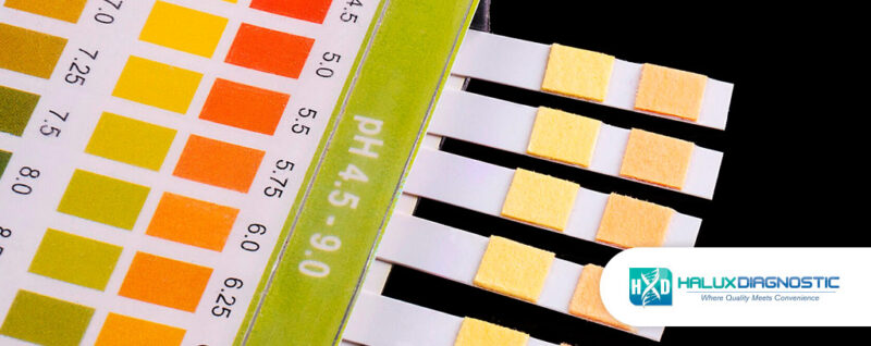 What is the Most Common Drug Testing Method?- Halux Diagnostic