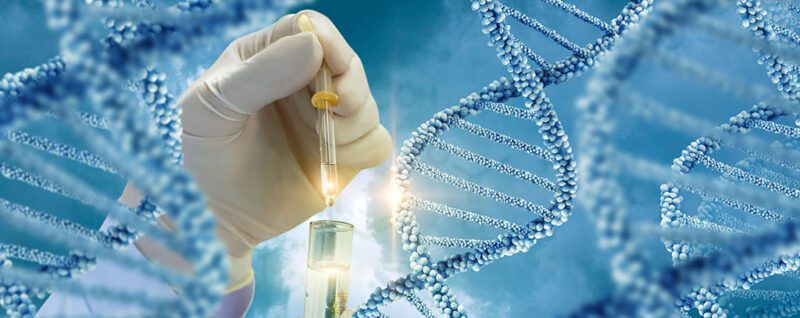 What is a 6 Panel Drug Test? Essential Guide